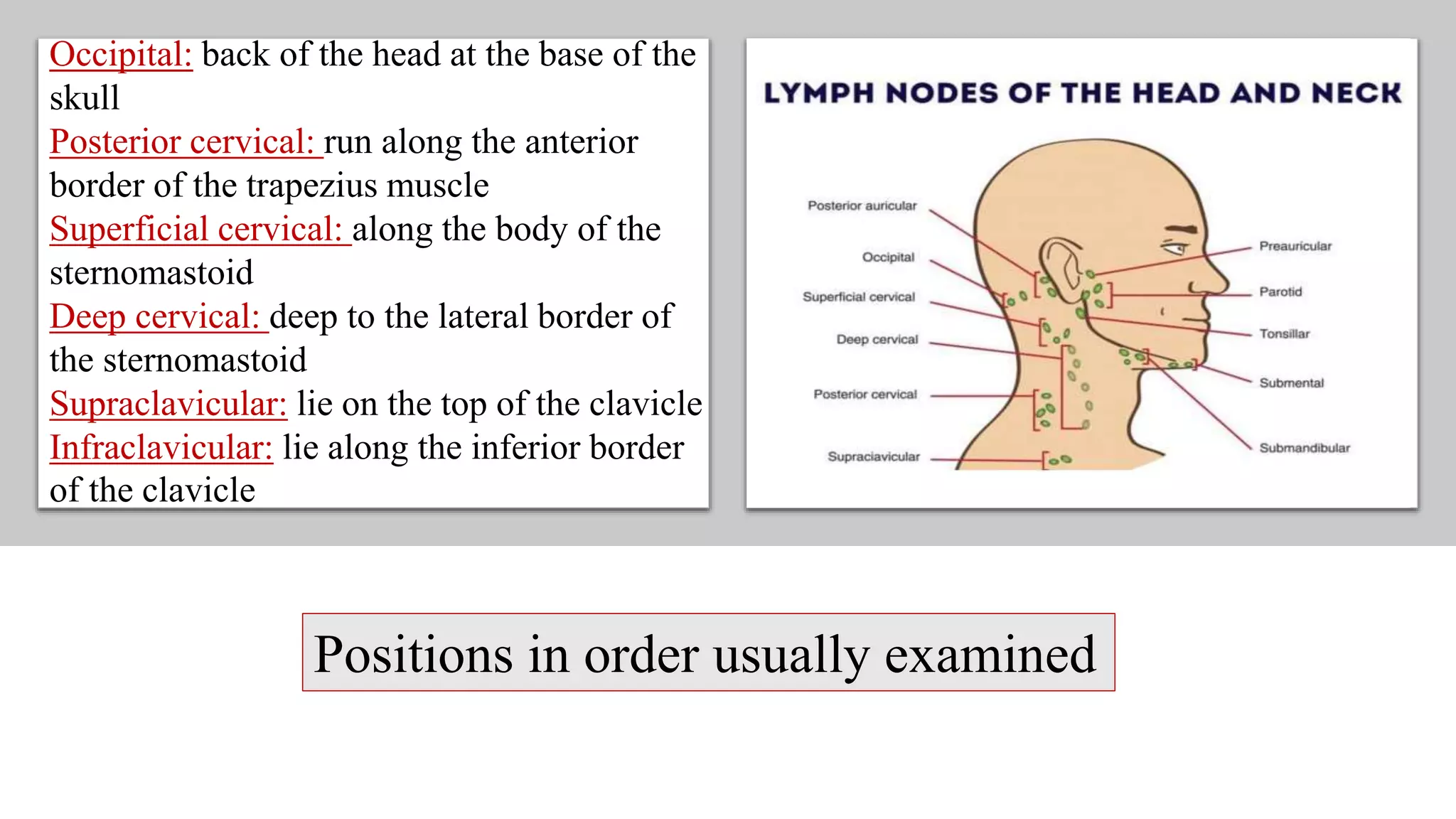Lymph nodes examination | PPTX