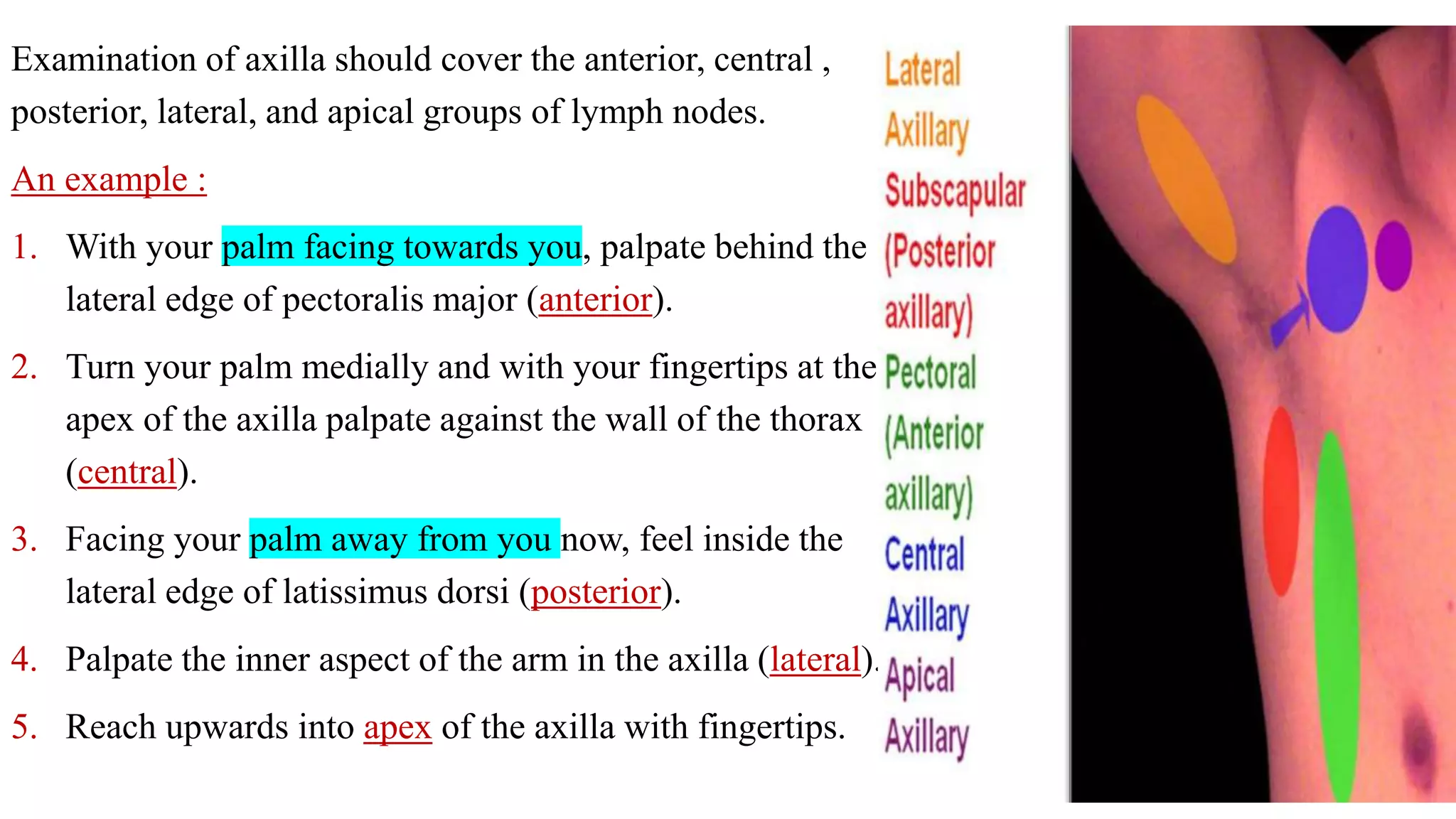 Lymph nodes examination | PPTX