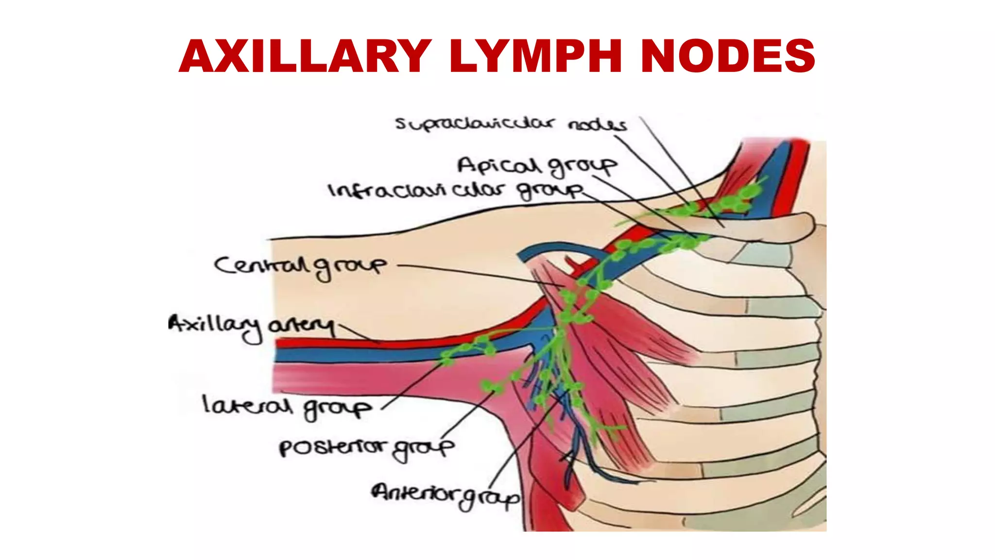 Lymph nodes examination | PPTX