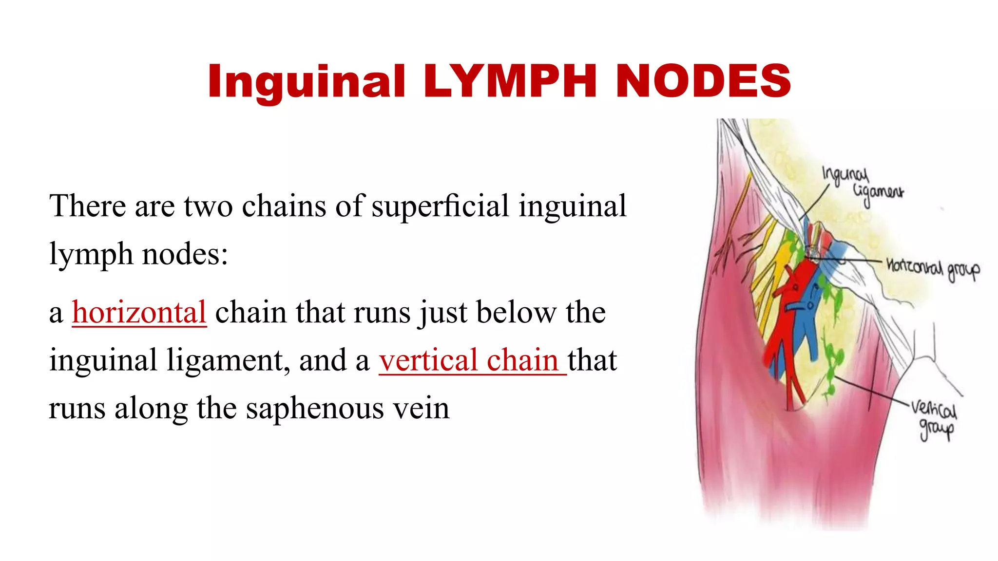 Lymph nodes examination | PPTX
