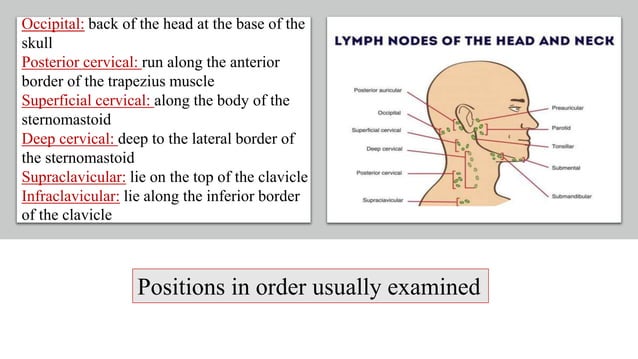 Lymph nodes examination | PPTX | Death, Injury, or Military Conflict ...