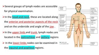 Lymph nodes examination | PPTX