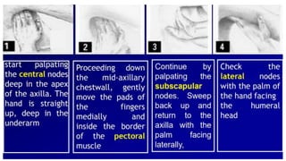 Axillary Lymph Nodes Palpation