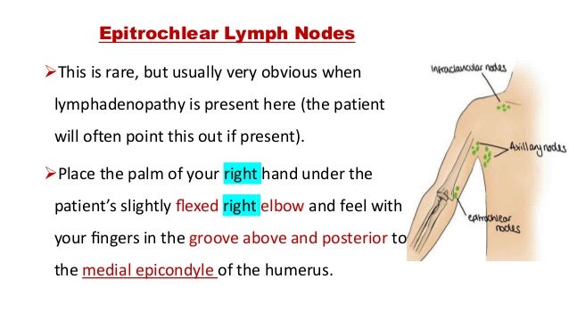 Lymph nodes examination