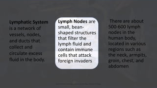 Lymph Node Examination.pptx NODES OF NECK,NODES OF AXILLA,NODES OF ...