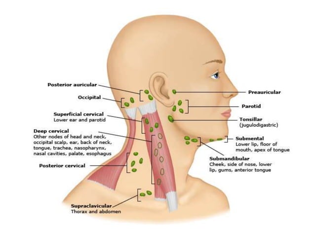 Lymph Node Lump And Ulcer Examinationpptx