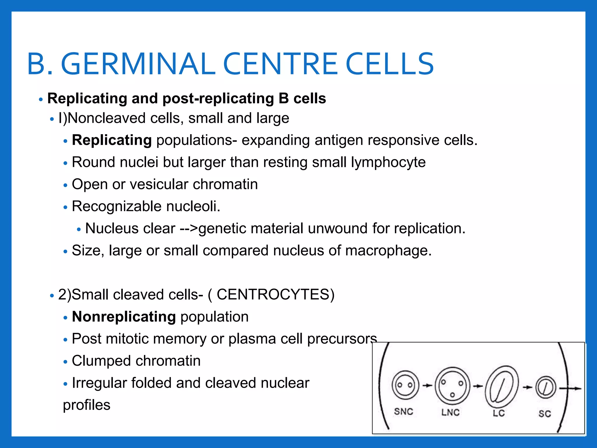 Histology and pathology of lymph nodes | PPTX