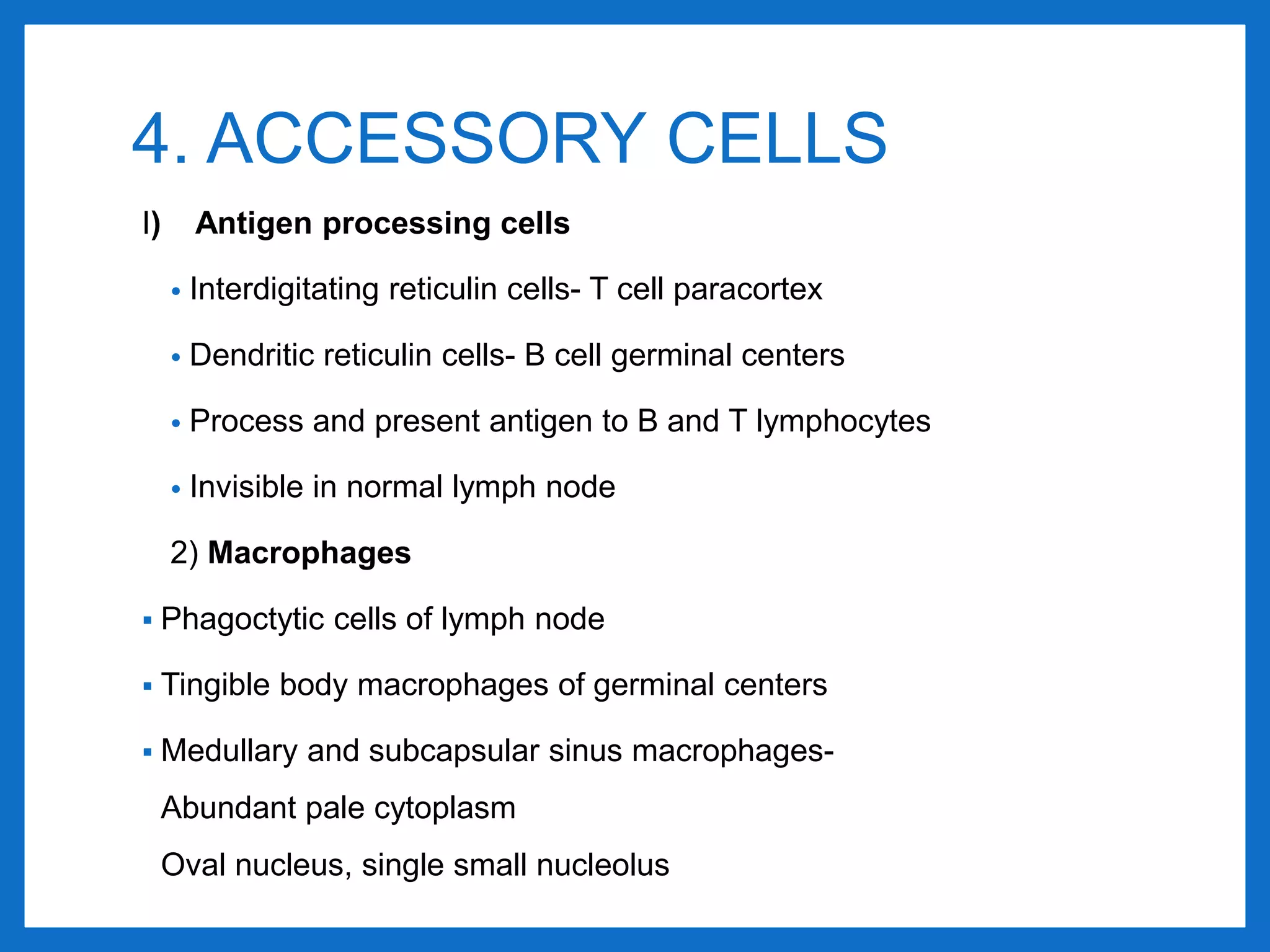 Histology and pathology of lymph nodes | PPTX