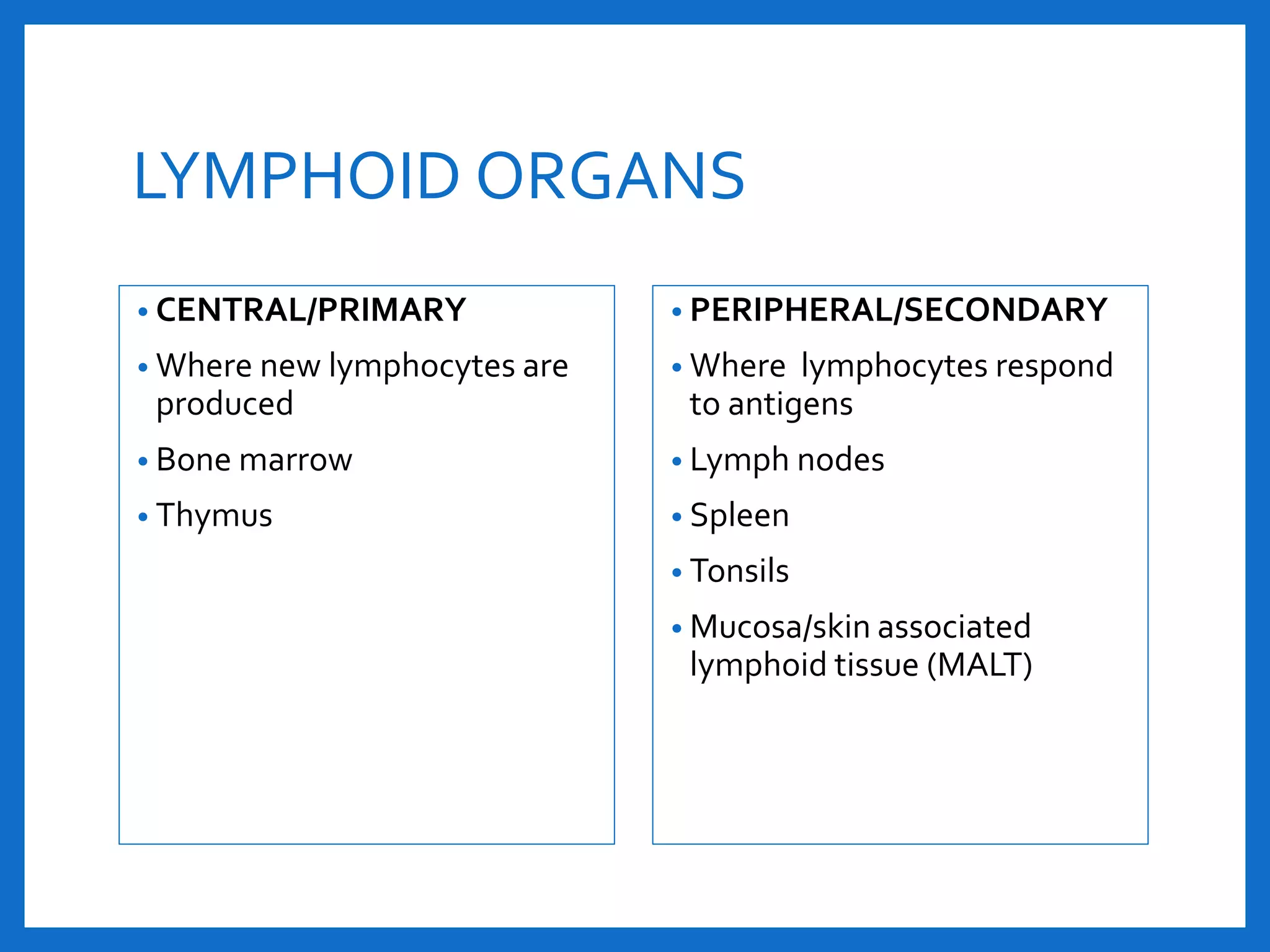 Histology and pathology of lymph nodes | PPTX