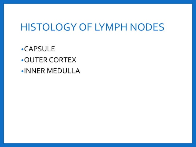 Histology and pathology of lymph nodes | PPTX | Biological Sciences | Science