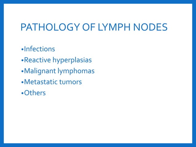 Histology and pathology of lymph nodes | PPTX | Biological Sciences ...