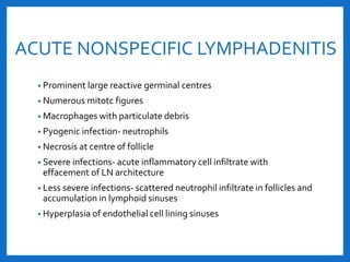 Histology and pathology of lymph nodes | PPTX