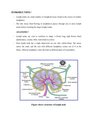 LYMPH NODES OF HEAD AND NECK AND DIFFERENTIAL DIAGNOSIS OF CERVICAL ...