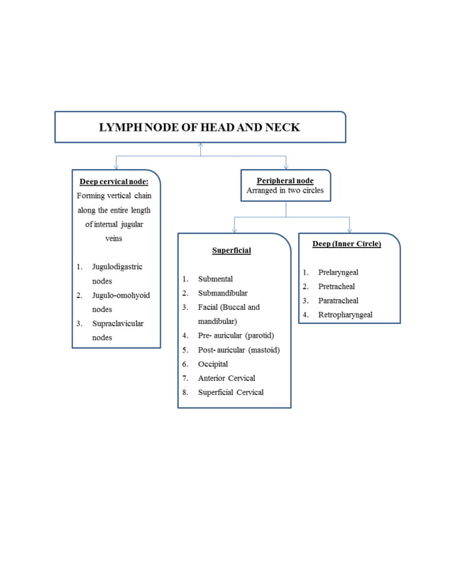 LYMPH NODES OF HEAD AND NECK AND DIFFERENTIAL DIAGNOSIS OF CERVICAL ...