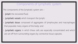 Lymph Nodes | PPTX