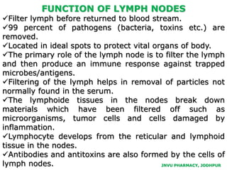 LYMPH NODES | PPTX
