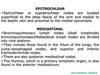LYMPH NODES | PPT