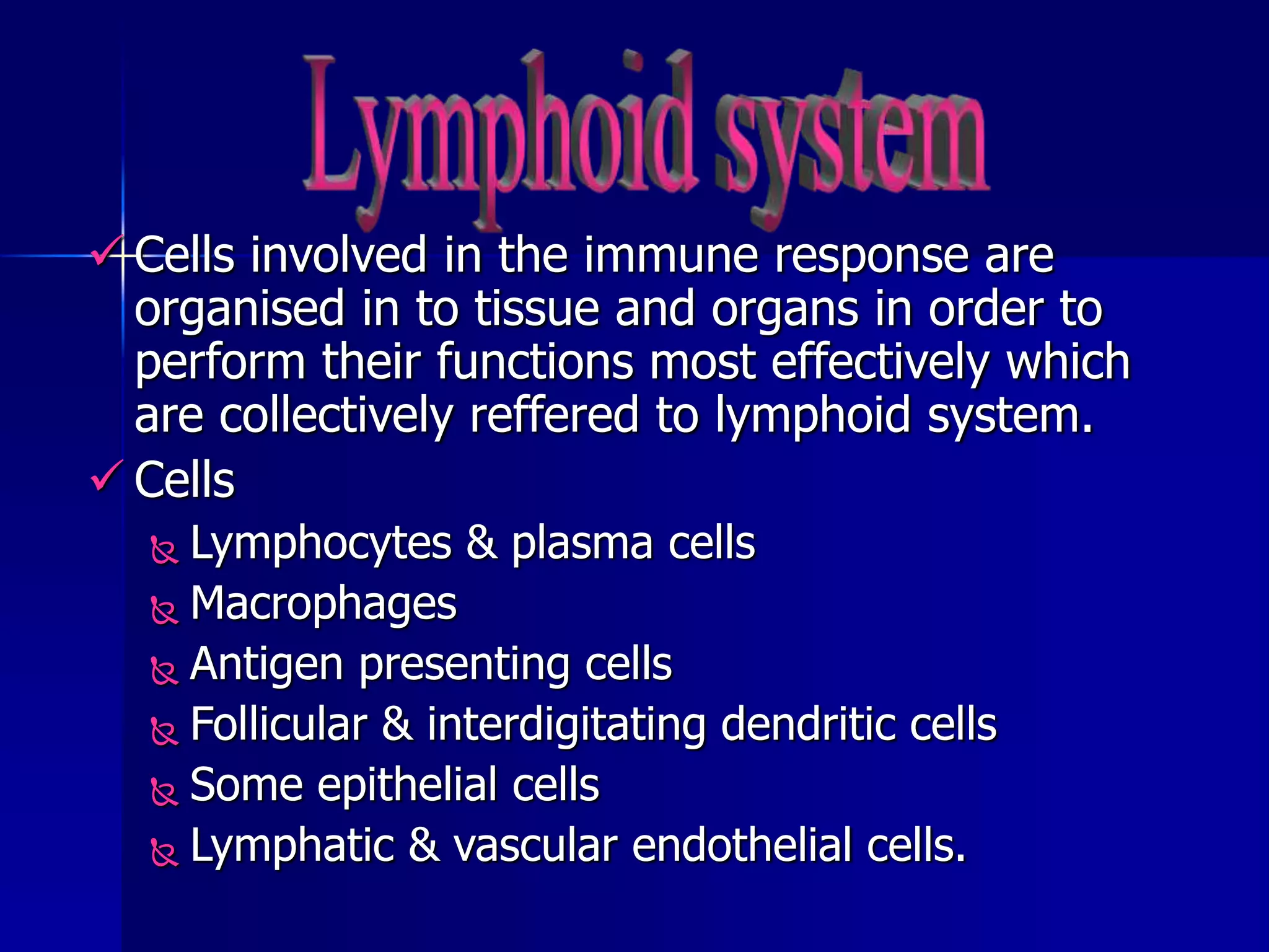 lymph nodes.ppt