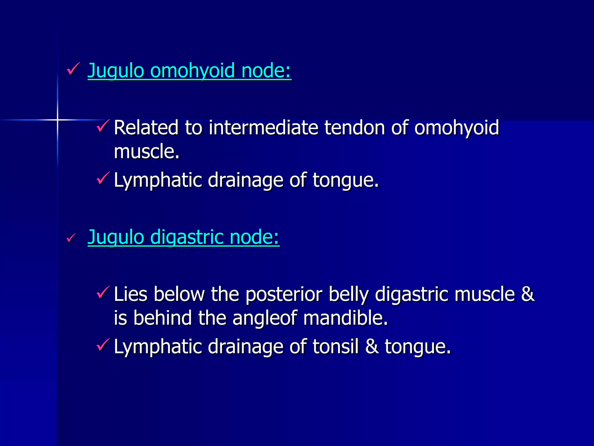 lymph nodes.ppt
