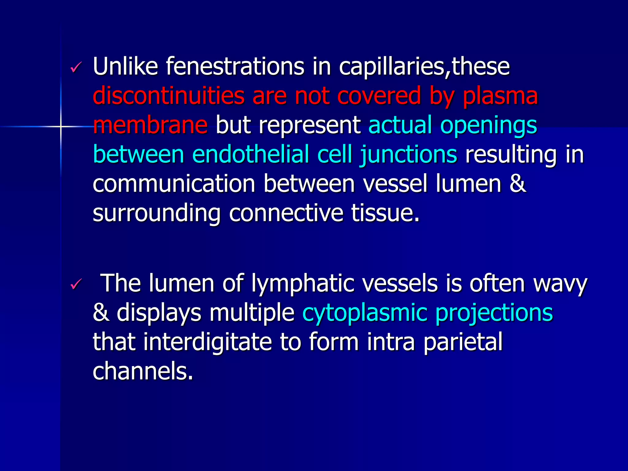 lymph nodes.ppt