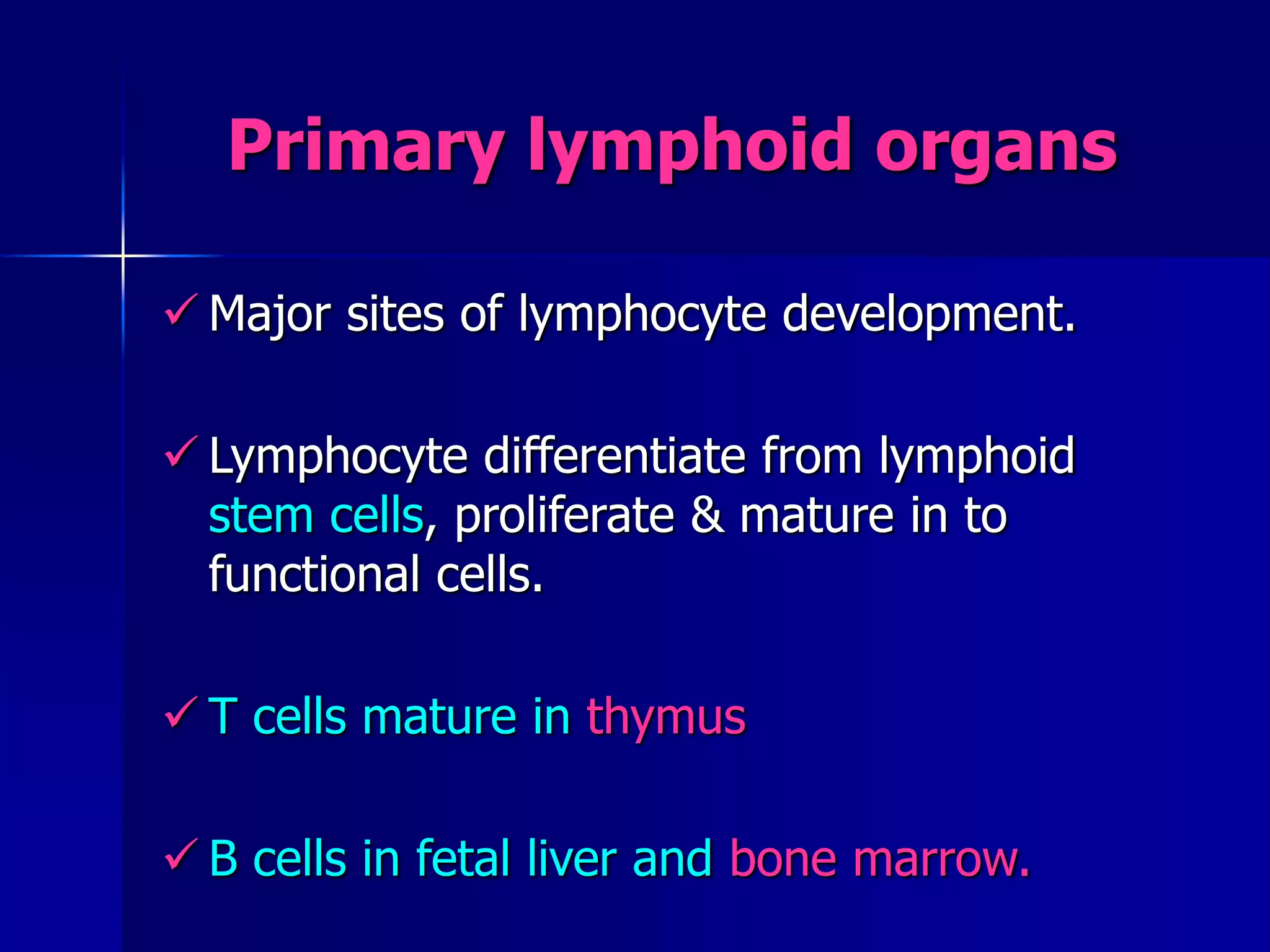 lymph nodes.ppt