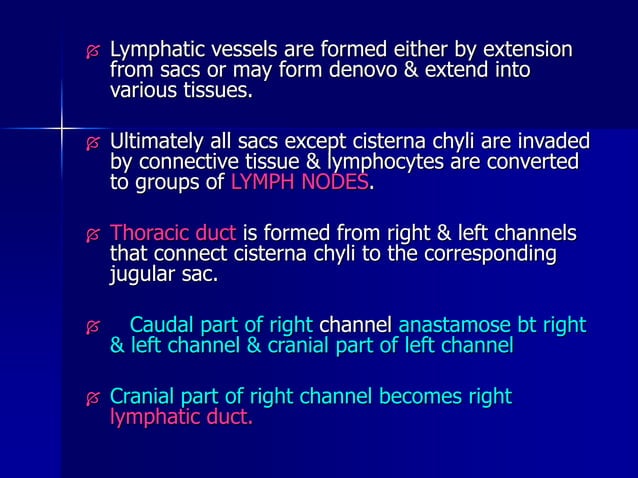 lymph nodes.ppt