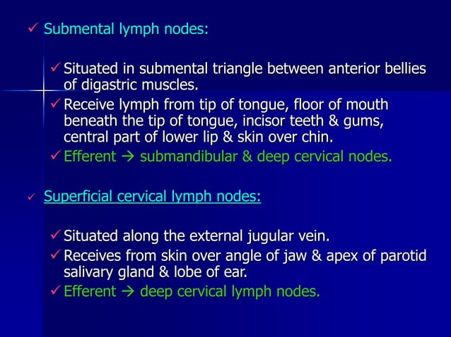 lymph nodes.ppt