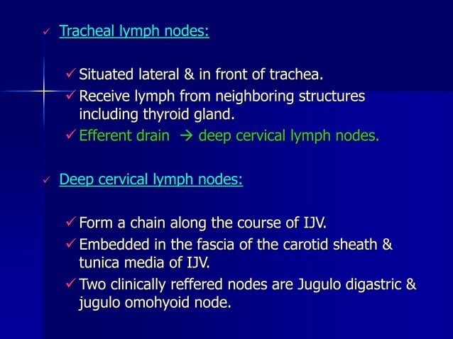 lymph nodes.ppt