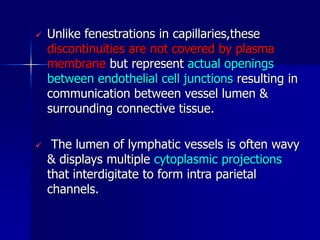 lymph nodes.ppt