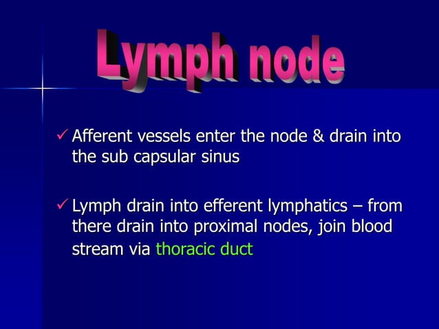 lymph nodes.ppt