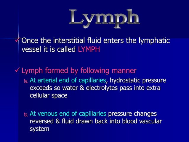 lymph nodes.ppt