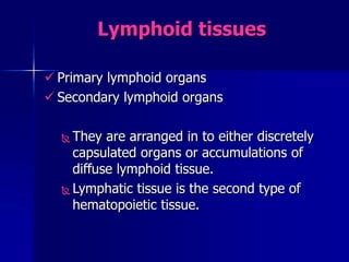lymph nodes.ppt