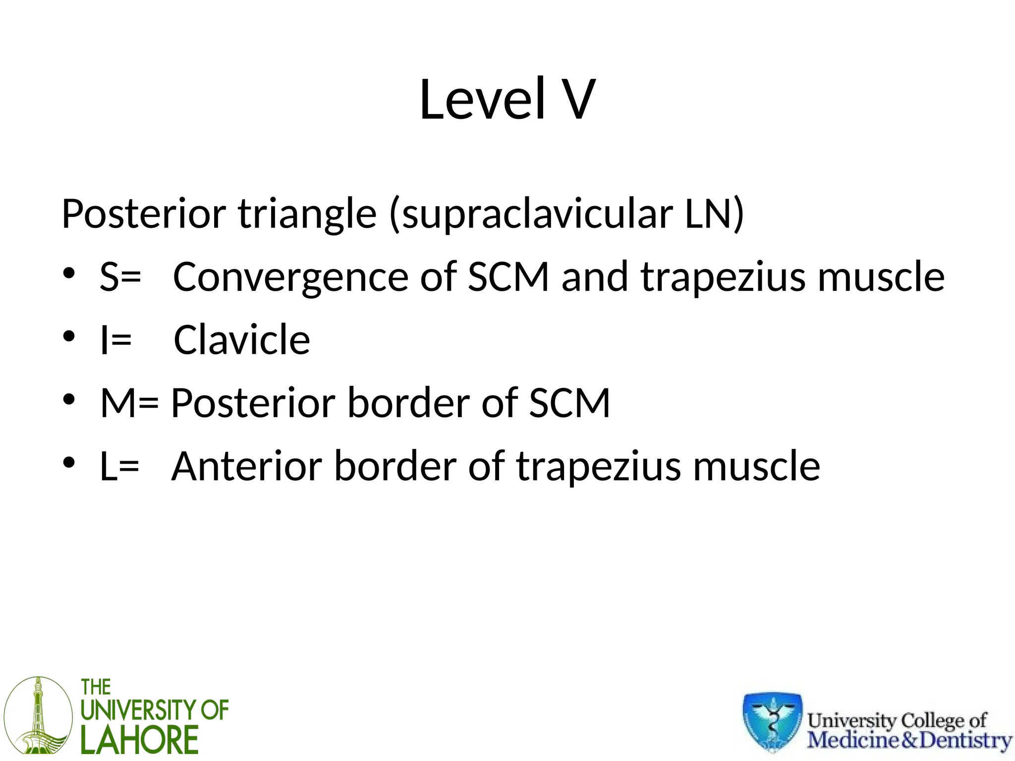 Lymph Nodes.pptx by Dr Alamgeer university college of dentistry | PPTX