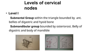 Lymph Nodes general surgery notes srb.pptx