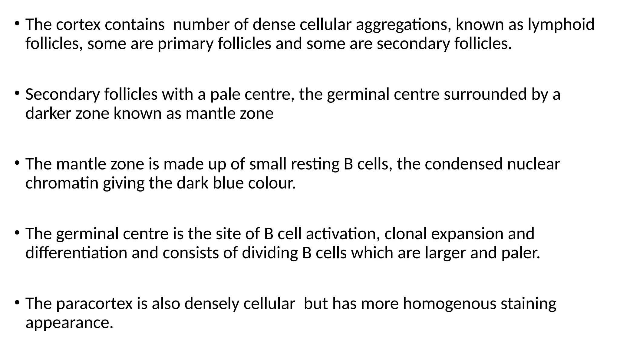 LYMPH NODES- MANYA YADAV (1). ppt x hai na | PPTX