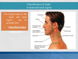 Lymph nodes of head and neck gross anatomy | PPTX