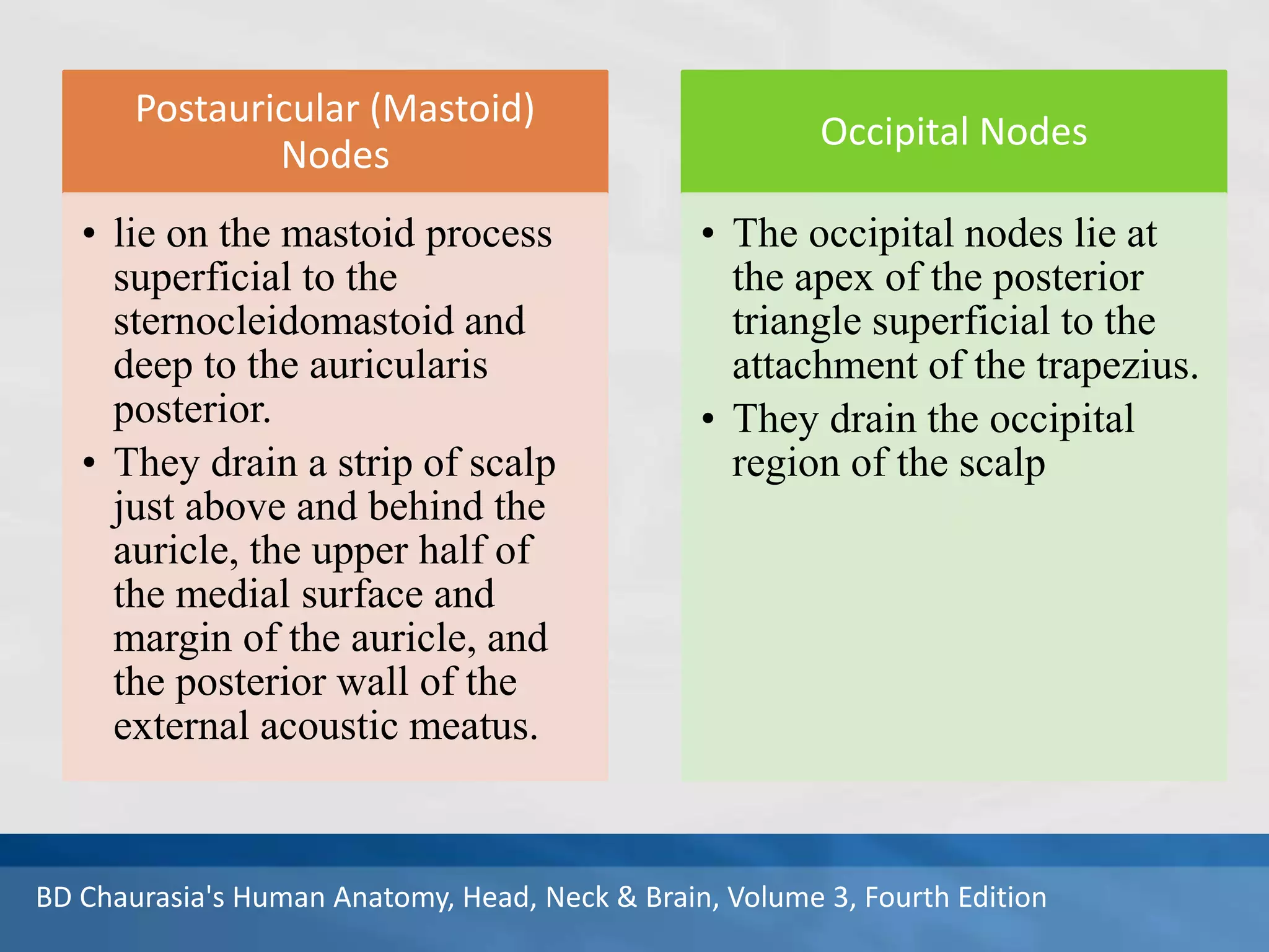 Lymph nodes of head and neck: Normal anatomy and applied aspect | PPTX