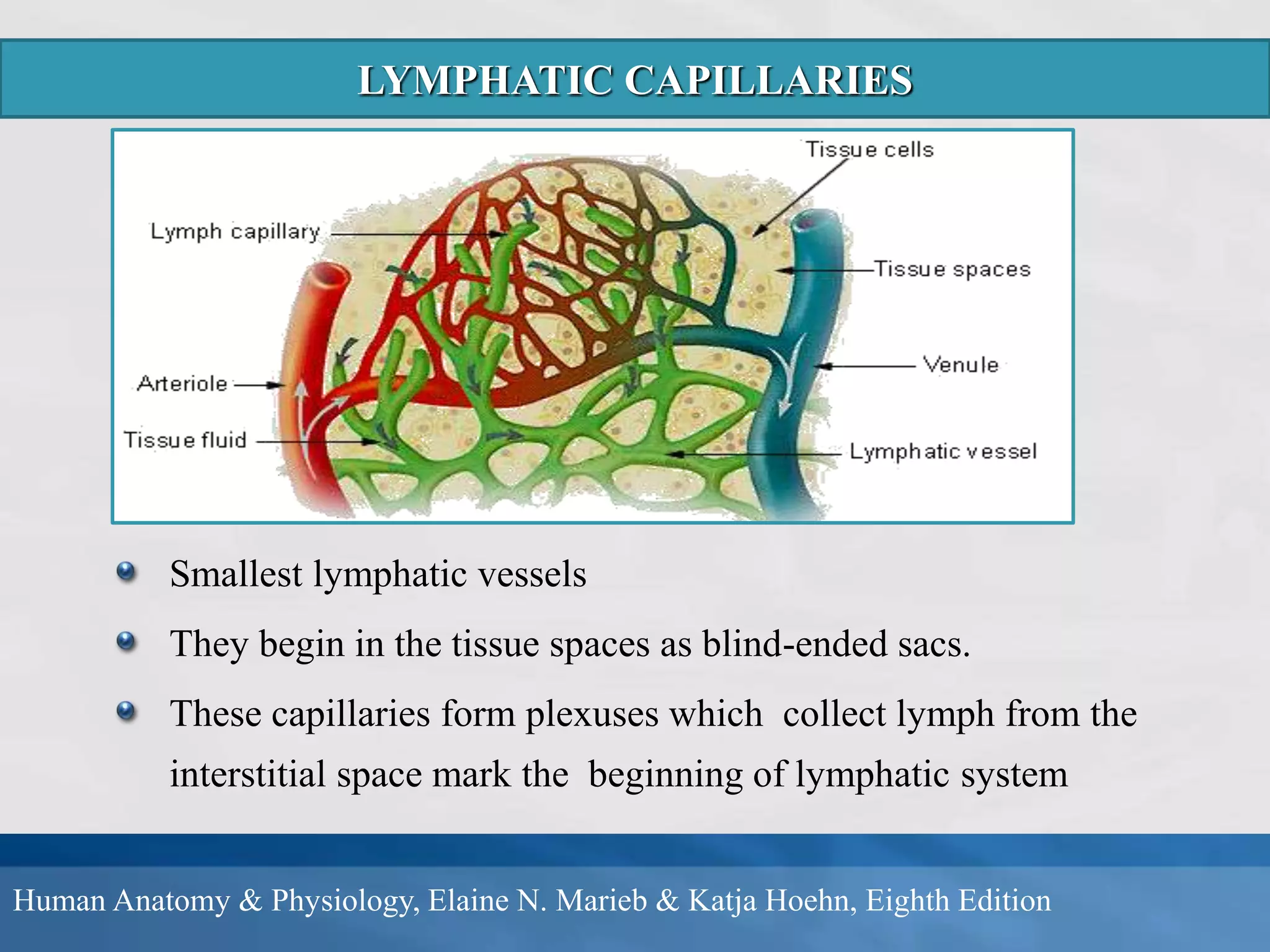 Lymph nodes of head and neck: Normal anatomy and applied aspect | PPTX