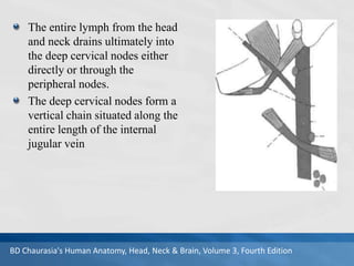 Lymph nodes of head and neck: Normal anatomy and applied aspect | PPTX