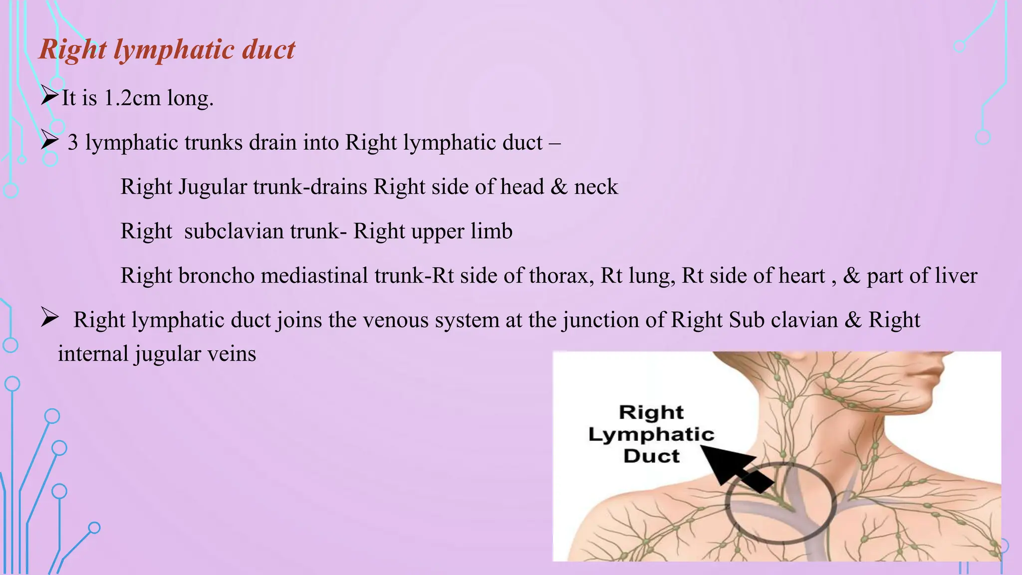 lymphatics , examination of lymph nodes. | PPTX