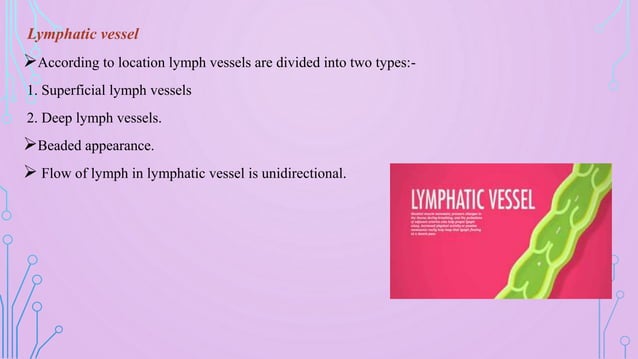 lymphatics , examination of lymph nodes. | PPTX