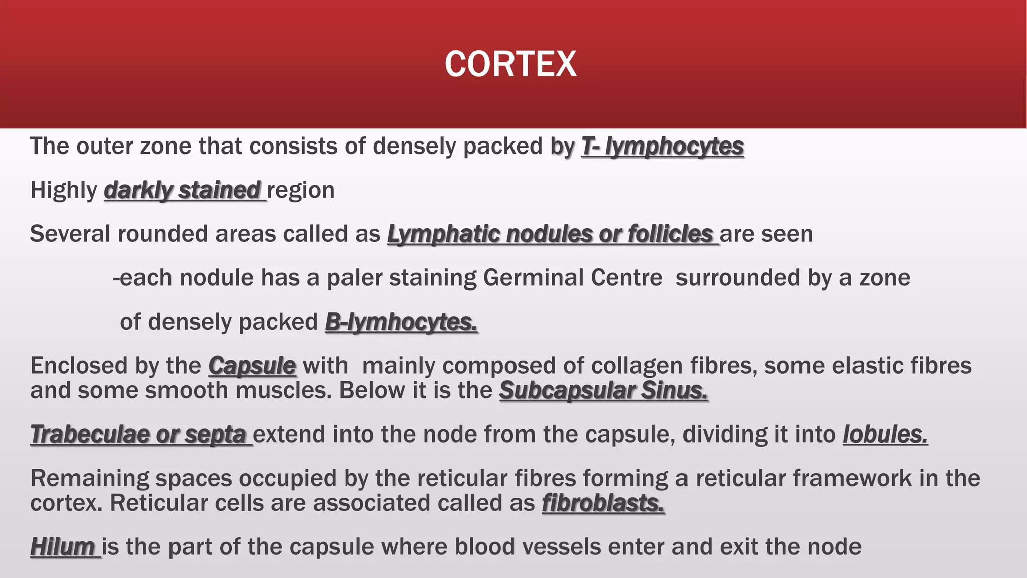 Lymph Node - A Histologcal Overview | PPTX