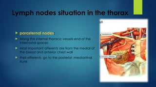 Lymph nods situations in the thorax.pptx