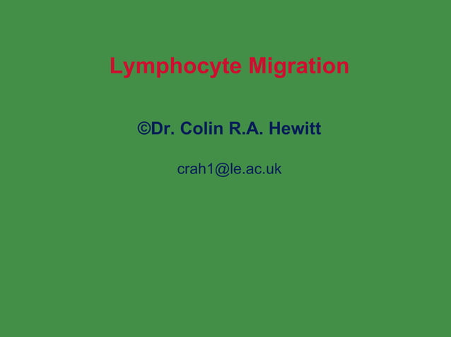 Lymphocyte Migration | PPT | Biological Sciences | Science