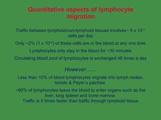 Lymphocyte Migration | PPT