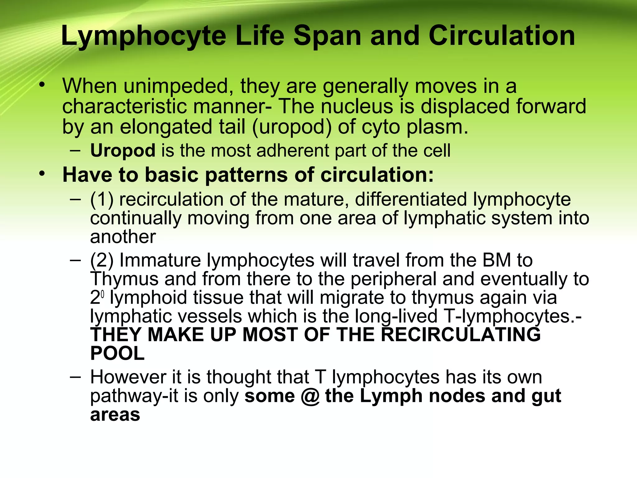 Lymphocyte production and maturation | PPT
