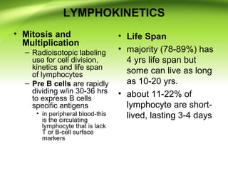 Lymphocyte production and maturation | PPT