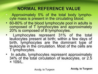 Lymphocyte production and maturation | PPT