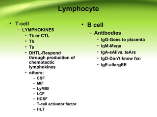 Lymphocyte production and maturation | PPT