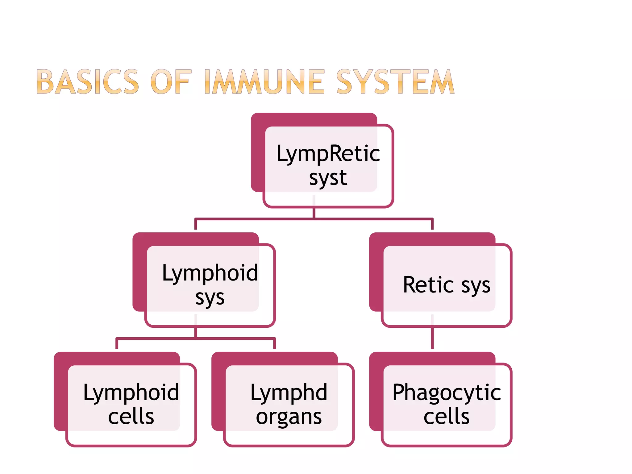 Lymphocytes | PPTX